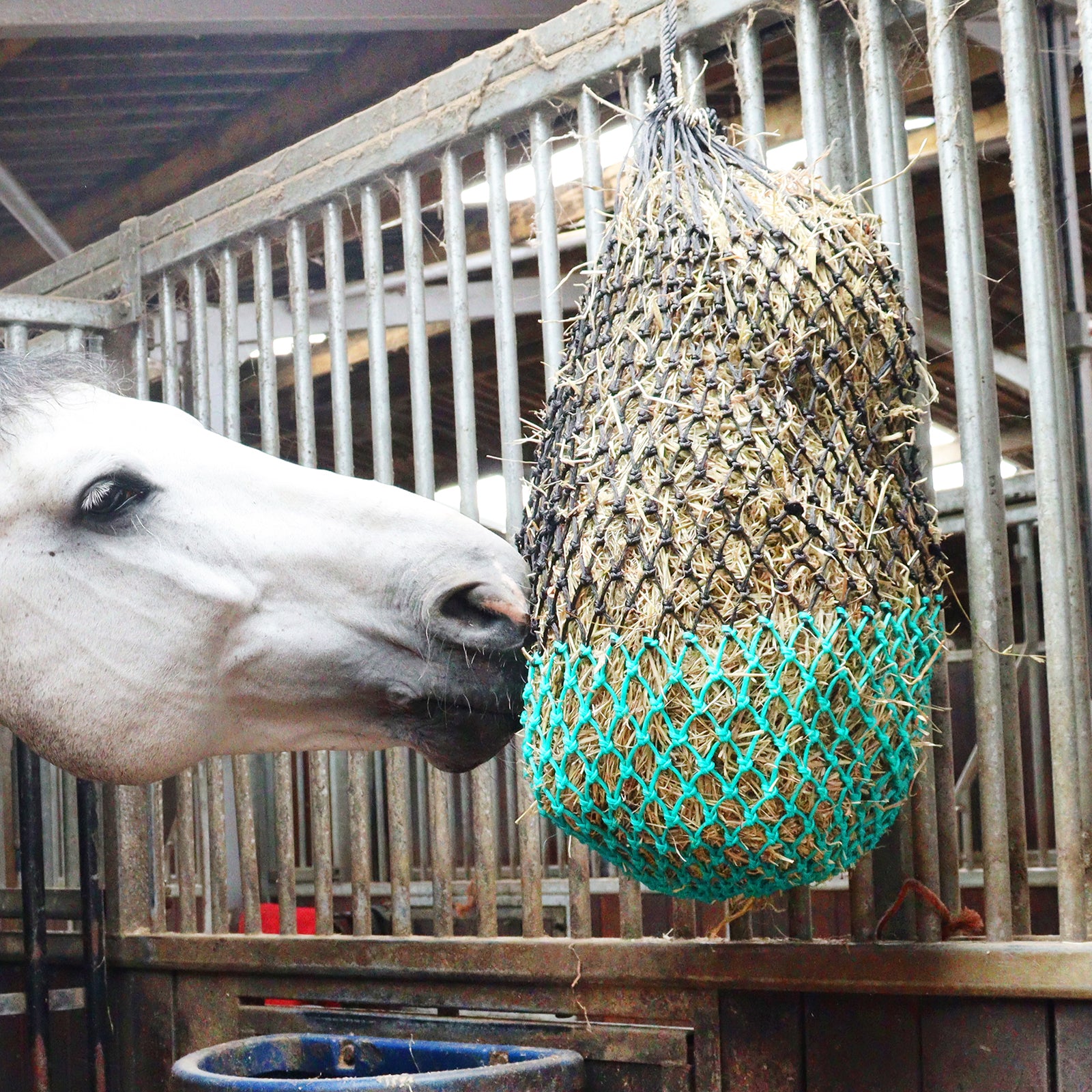 Equestrian – Perry Group